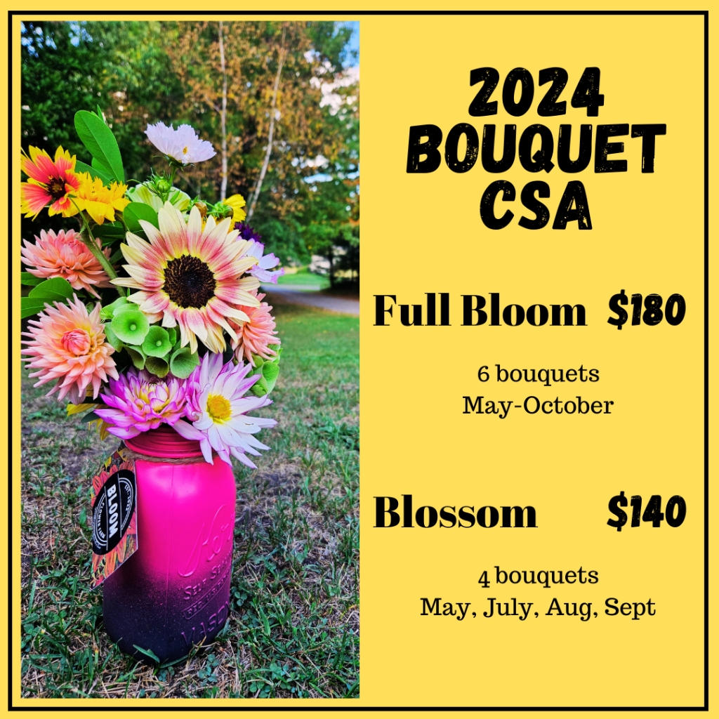 Bouquet CSA- 2024 – Bloom Flower Farm