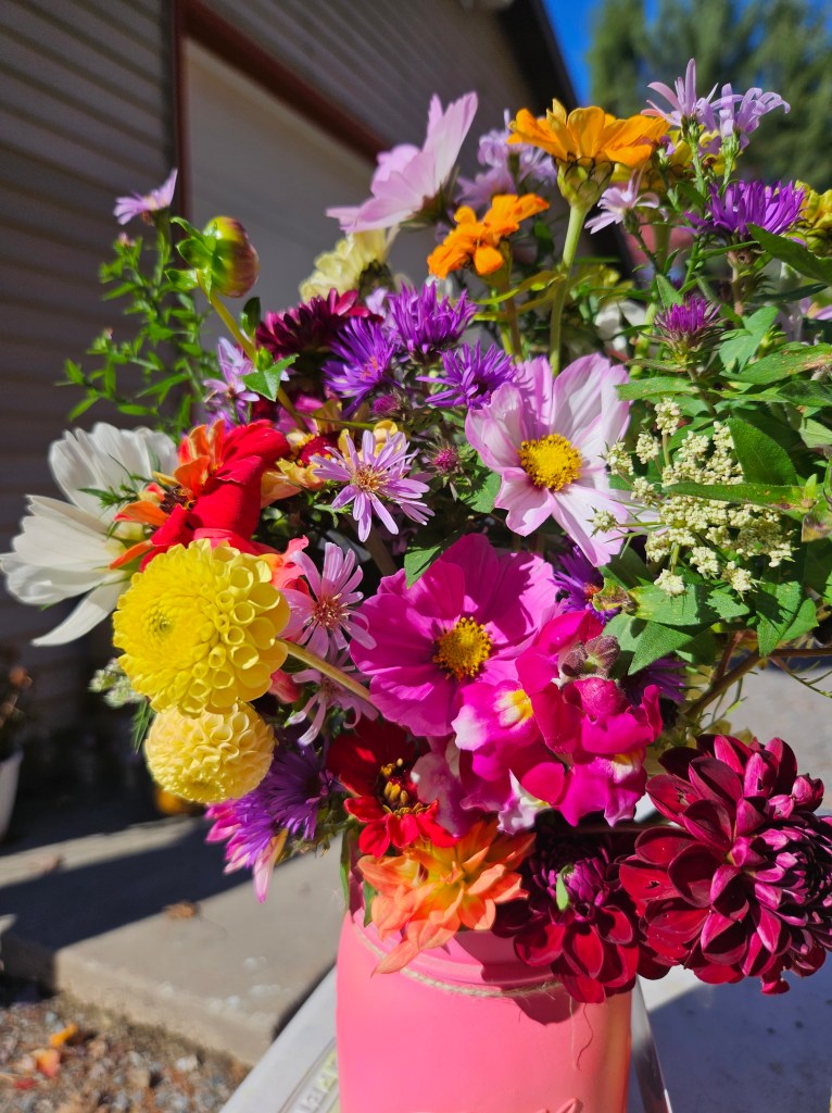 Shop – Bloom Flower Farm