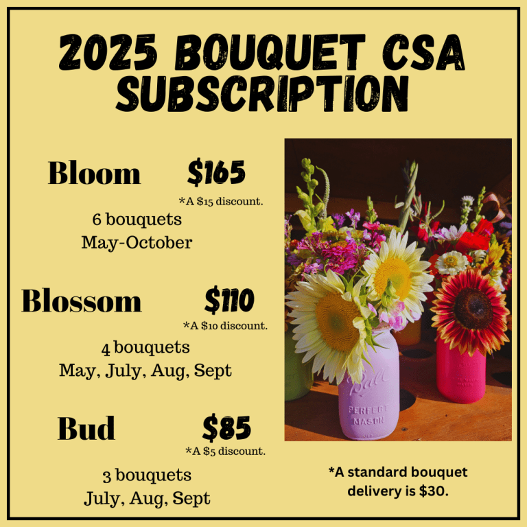 Bouquet CSA- 2025 – Bloom Flower Farm